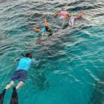 Stingray City Private Boat Charter with Jet Ski - What Makes This Tour Stand Out?