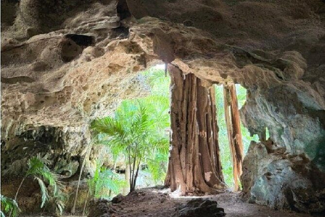 Stingrays, Starfish and Crystal Cave Adventure - A Complete Look at the Tour