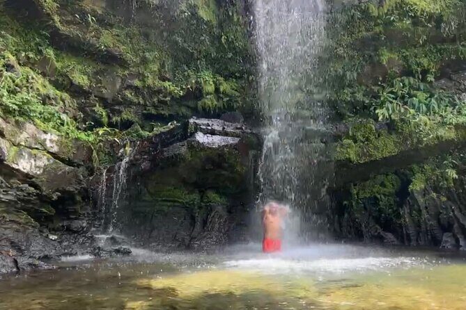 Sueños de Cafe - A Coffee Lovers Dream - Who Will Love This Tour?