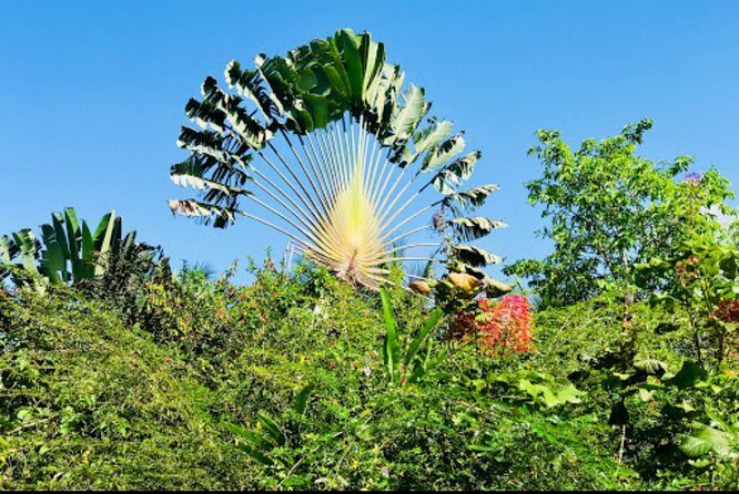 Sun Valley farm Tour - Transport, Timing, and Practical Details