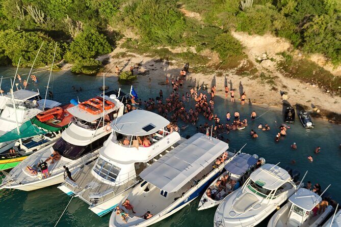 Sunday Boat Festival/Meet up with Djs, open bar & snacks - Who should consider this tour?