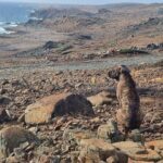 Sunrise Hike and Beach Meditation to Rancho Curason - Who Should Consider This Tour?