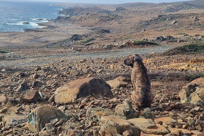 Sunrise Hike and Beach Meditation to Rancho Curason - Who Should Consider This Tour?