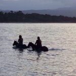 Sunset Beach Horseback Riding - The Scenic Journey