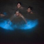 Sunset Boat Cruise and Luminous Lagoon with Dinner and Transfer - Practical Details and Considerations