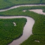Sunset Boat Tour into Caroni Wetlands - What Makes This Tour Stand Out?