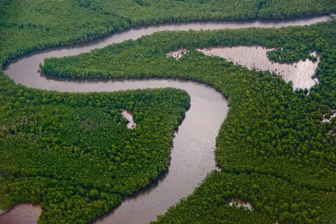 Sunset Boat Tour into Caroni Wetlands - What Makes This Tour Stand Out?