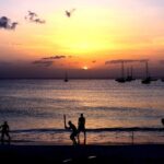 Sunset Cruise and Dinner - What Travelers Say (Based on Reviews and Observations)