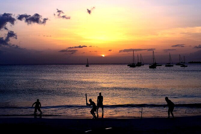 Sunset Cruise and Dinner - What Travelers Say (Based on Reviews and Observations)