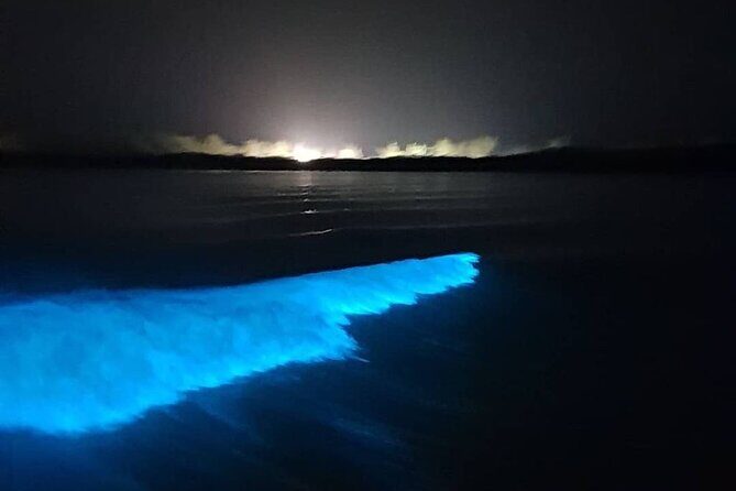 Sunset Cruise Negril Rafting and Luminous Lagoon 3 day Excursion - Day 3: The Luminous Lagoon – Nature’s Nighttime Wonder