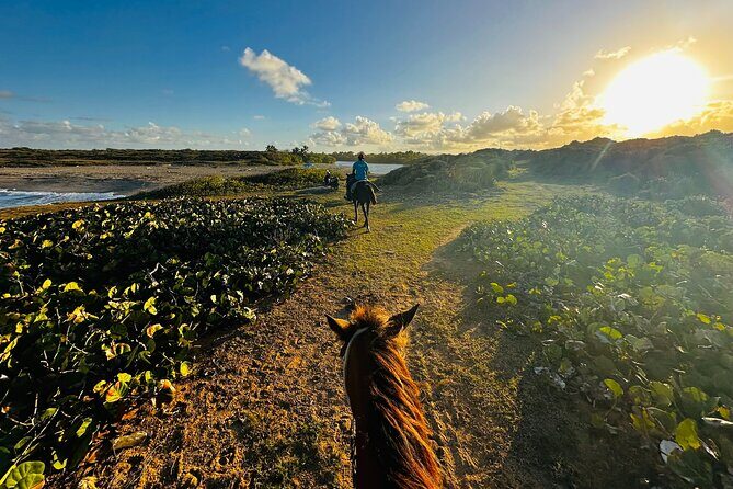 Sunset Horseback Ride at Macao Beach & Forest with Transfers - Final Thoughts: Is This Tour Worth It?