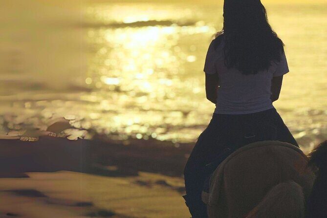 Sunset Horseback Ride by the Beach in Aguadilla, Puerto Rico - Detailed Breakdown of the Tour Itinerary