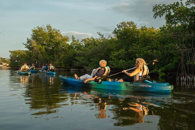 Sunset Kayak Tour in the Mangrove Lagoon, St Thomas - Why This Tour Stands Out