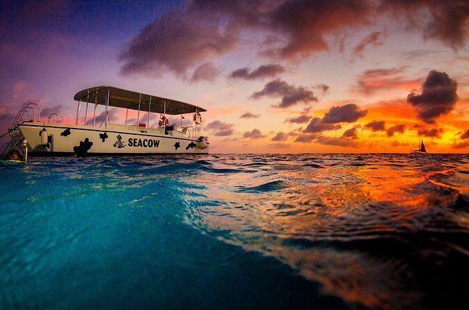 Sunset- night snorkel trip - Who Should Consider This Tour?