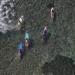 Surf lessons Guadeloupe beginners intermediate confirmed - What the Tour Includes and How It’s Structured