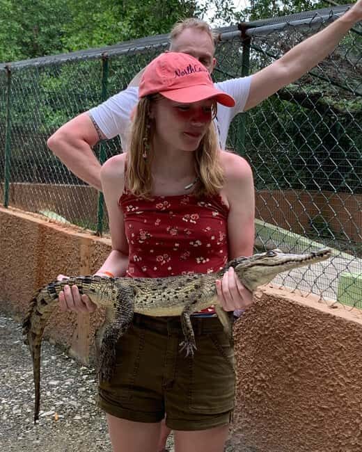 Swamp Safari and Rose Hall Great House Day Tour - Who Will Love This Tour?