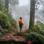 Swim, Explore & Identify Tropical Flora - The Itinerary in Detail