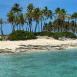 Swim with the Pigs Safari in Bahamas (2hrs) - A Closer Look at the Itinerary