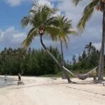 Swim with the Pigs / West End Experience - Transportation & Duration