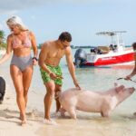 Swimming Pigs & ATV Tour - The Practical Details