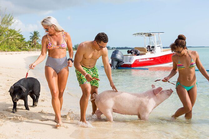 Swimming Pigs & ATV Tour - The Practical Details