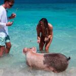 Swimming Pigs, Snorkeling and Beach Tour in Nassau Bahamas - The Itinerary in Detail