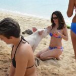 Swimming Pigs & Tour with Transportation to Rose Island - Authentic Insights from Reviews