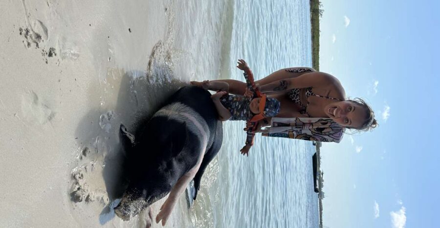 Swimming with the pigs, turtles and reef snorkeling!!! - Practical Details and Value