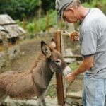 Taino Valley Tropical Park Puerto Plata Tubagua - The Itinerary: What You’ll Actually Do