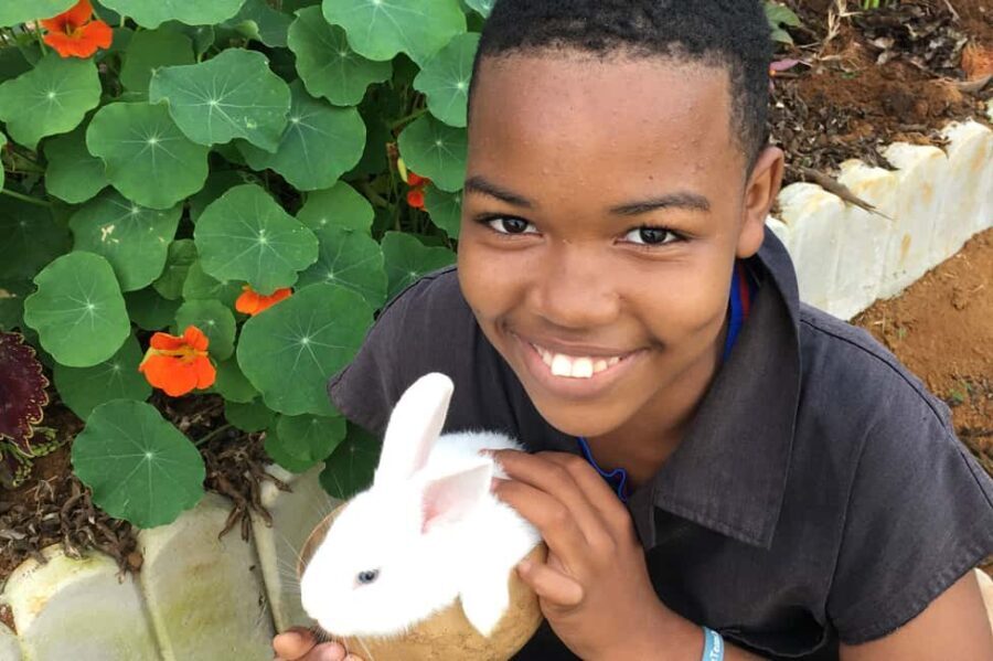 Taste of Jamaica Farm & Food Tour - The Practicalities: What To Expect