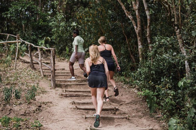 Tet Paul Nature Trail Tour - The Practical Side: Transportation, Duration, and Value