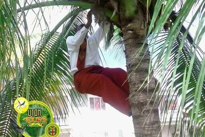 The AMAZING Montego Bay Tour - Potential Drawbacks or Considerations