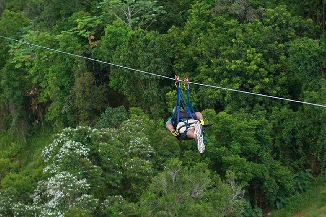 The Beast Zipline at Toroverde Adventure Park in Puerto Rico - Logistics and Practicalities