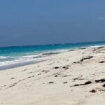 The Bermuda Elbow Beach Escape Day - Pricing and Value
