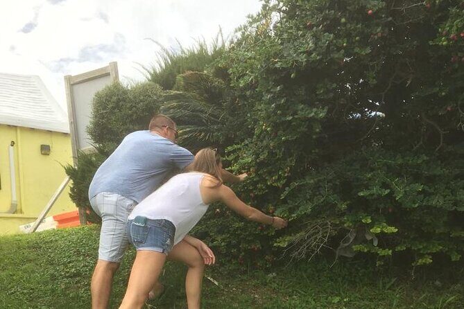 The Bermuda Tea and Tales Experience - The Experience from Past Travelers