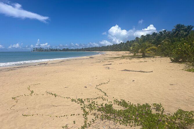 The Best of Puerto Plata Private Sightseeing Tour Combo - Authentic Experiences and Local Flavor