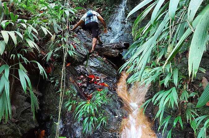 The Grand Circle 24-Hour All-Inclusive Island Experience - The Daytime Experience: Tobago Highlights