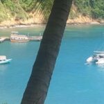 The Little Tobago Tour - Practical Details and Value