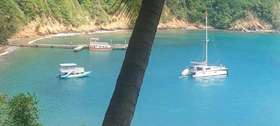 The Little Tobago Tour - Practical Details and Value