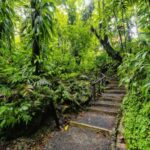 The Ultimate Private Romantic Escape in Roseau - Trafalgar Falls: The Iconic Duo of Waterfalls