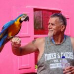 The Ultimate Puerto Plata Challenge: City & 7 Waterfalls - The Sum Up