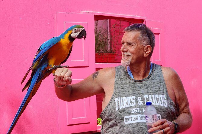 The Ultimate Puerto Plata Challenge: City & 7 Waterfalls - The Sum Up