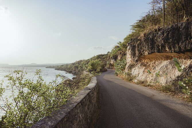 Thousands Steps Excursion with Optional Snorkeling - Snorkeling in Bonaire’s Famous Reef
