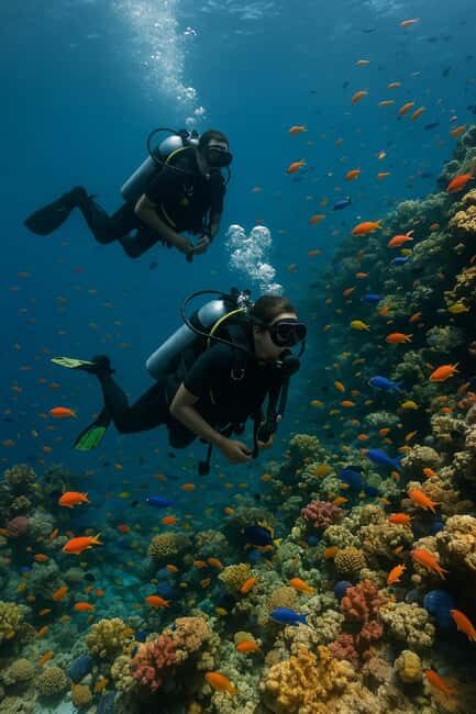 Three-Days Scuba Diving Certification Program Negril - The Itinerary and Its Highlights