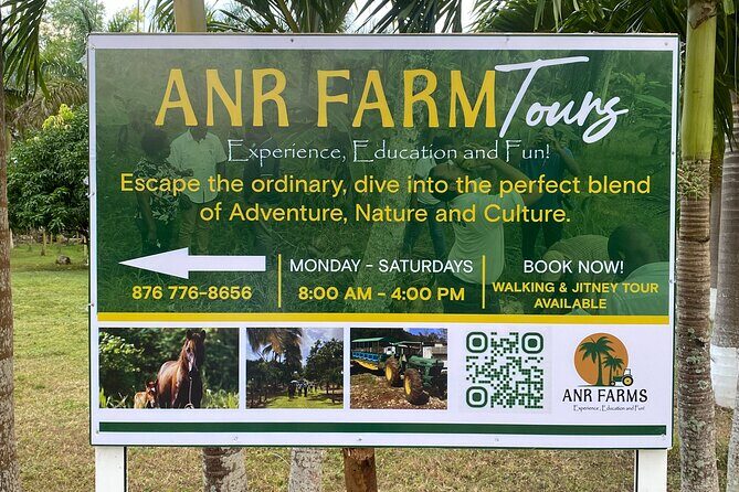 Thrilling farm adventure in Trelawny - Exploring the Tour: A Detailed Breakdown