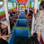 Tobago: Buccoo Reef and Nylon Pool Boat Tour with Transfer - Who Will Love This Tour?