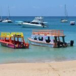 Tobago Buccoo Reef Glass Bottom Boat Cruise and Island Sightseeing Tour - What Makes This Tour Stand Out