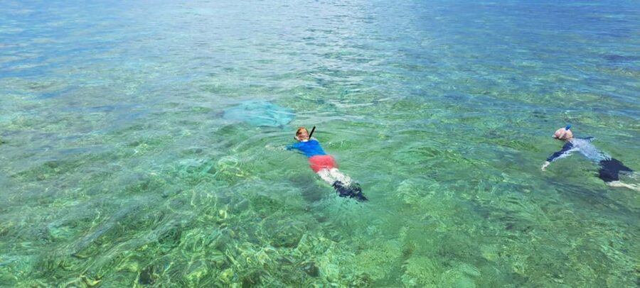 Tobago: Coral Reef Boat Tour with BBQ and Transfer - Nylon Pool: Relaxing in Tobago’s Iconic Lagoon