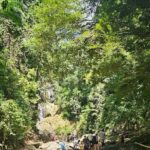 Tobago: Half Day Atlantic Coast Tour with Transfer - An In-Depth Look at the Tobago Half-Day Tour