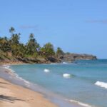 Tobago: Half-Day Highlights Tour - What This Tour Means for You